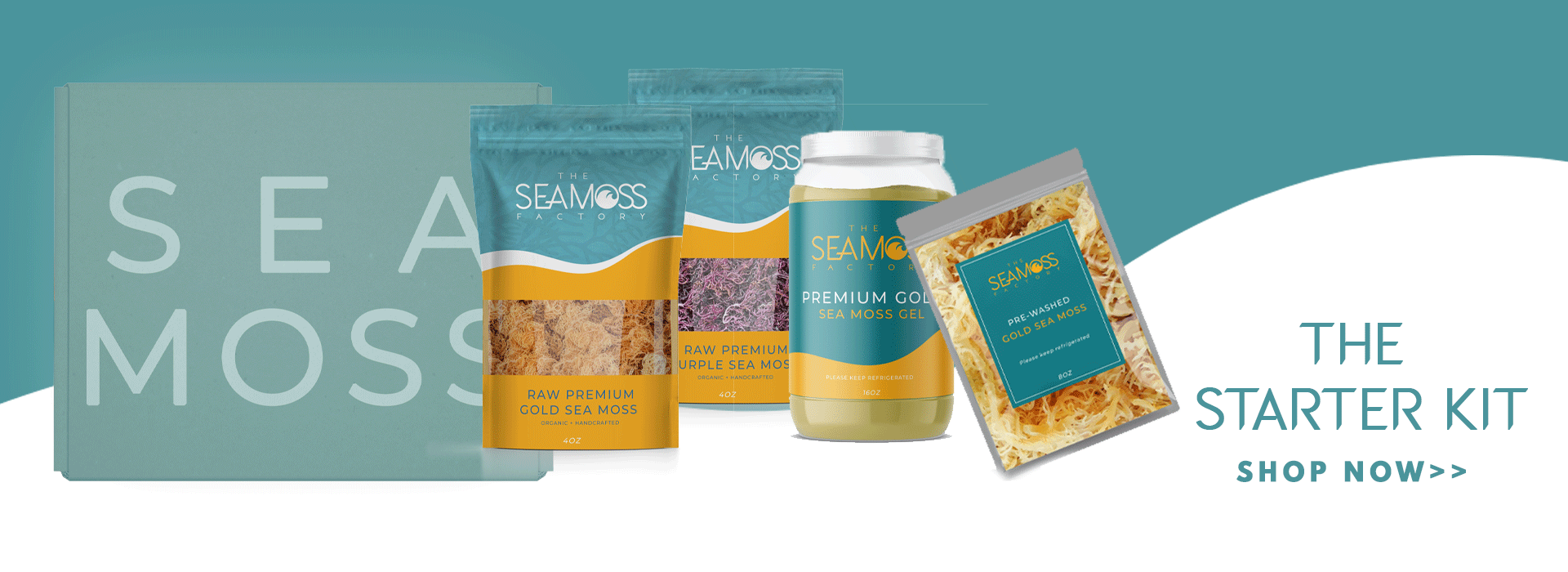The SeaMoss Factory | The World's Superfood At Your Doorstep – The Sea ...