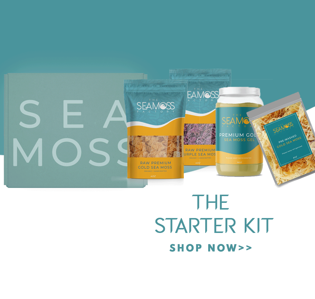 The SeaMoss Factory | The World's Superfood At Your Doorstep – The Sea ...